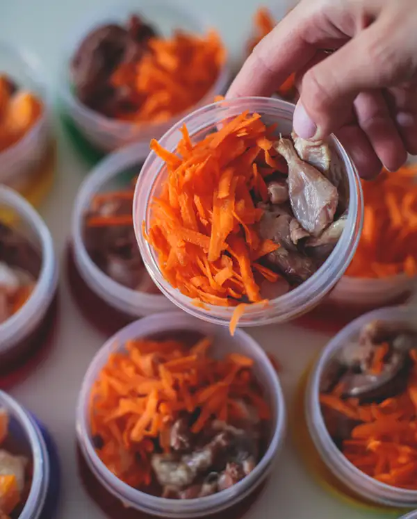 What is BARF for dogs? All about raw feeding for dogs | eBarf